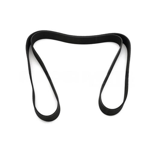 D84-1000-3122500 Kenworth | Poly Belt 12 Ribs X 2500 Orion HD | Source ...