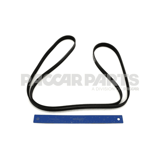 D84-1000-6062175 | Kenworth® | BELT-POLY 6 RIBS X 2175 END/PLYSTR ...