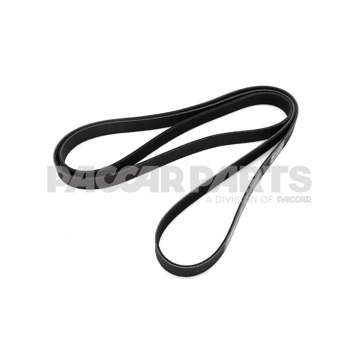 D84-1000-3082875 | Kenworth® | Belt-poly 8 Ribs X 2875 Orion Hd Plystr 